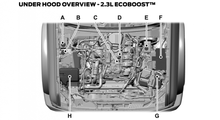 Maintenance Locations Under the Hood | 2021 Ford Bronco - Bronco Nation